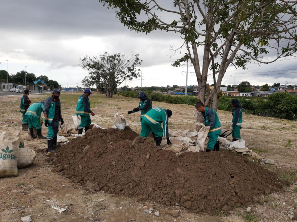 Plantio e distribuição de mudas marca o Dia da Árvore na Amazônia ... Plantio e distribuição de mudas marca o Dia da Árvore na Amazônia ...