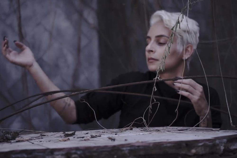 Artistas do Amazonas participam da quarta edição da Mostra de Dança do ...