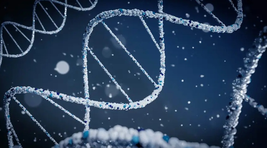 20 anos depois: Cientistas sequenciam 100% do genoma humano – Portal do ...