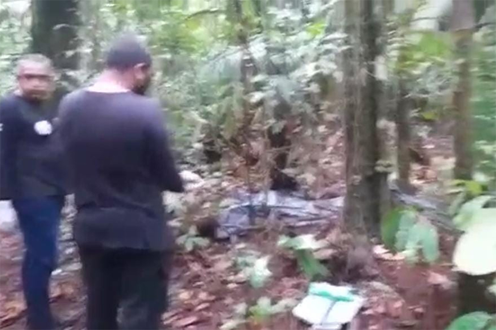 mateiro desaparecido – Portal do Marcos Santos - Portal do Marcos Santos