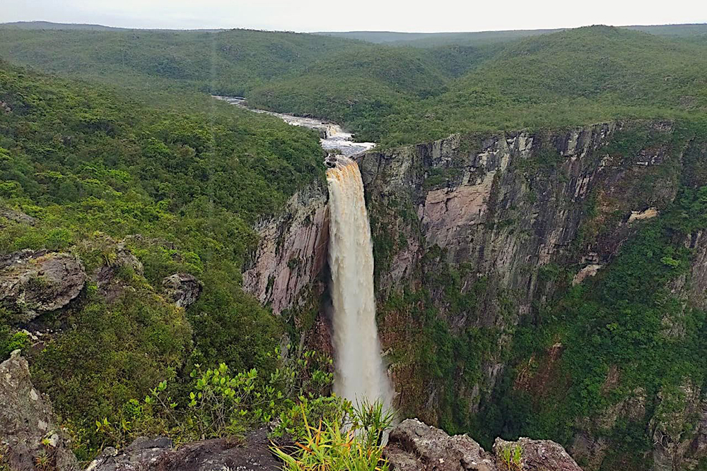 Barcelos: 'El Dorado' do Amazonas é destino perfeito para desfrutar do ...