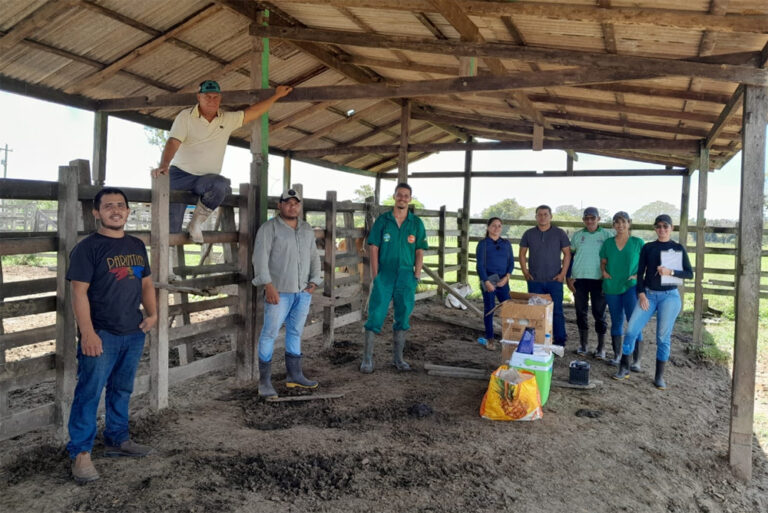 Pecuaristas de São Sebastião do Boto são pioneiros no maior programa ...