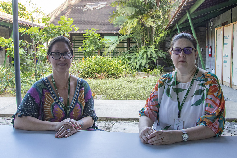 Mapeamento espacial da esporotricose animal e humana no AM é realizado ...