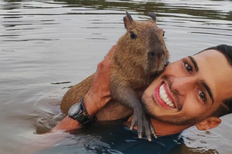 Capivara Filó permanece com influenciador, mas Ibama diz que vai ...