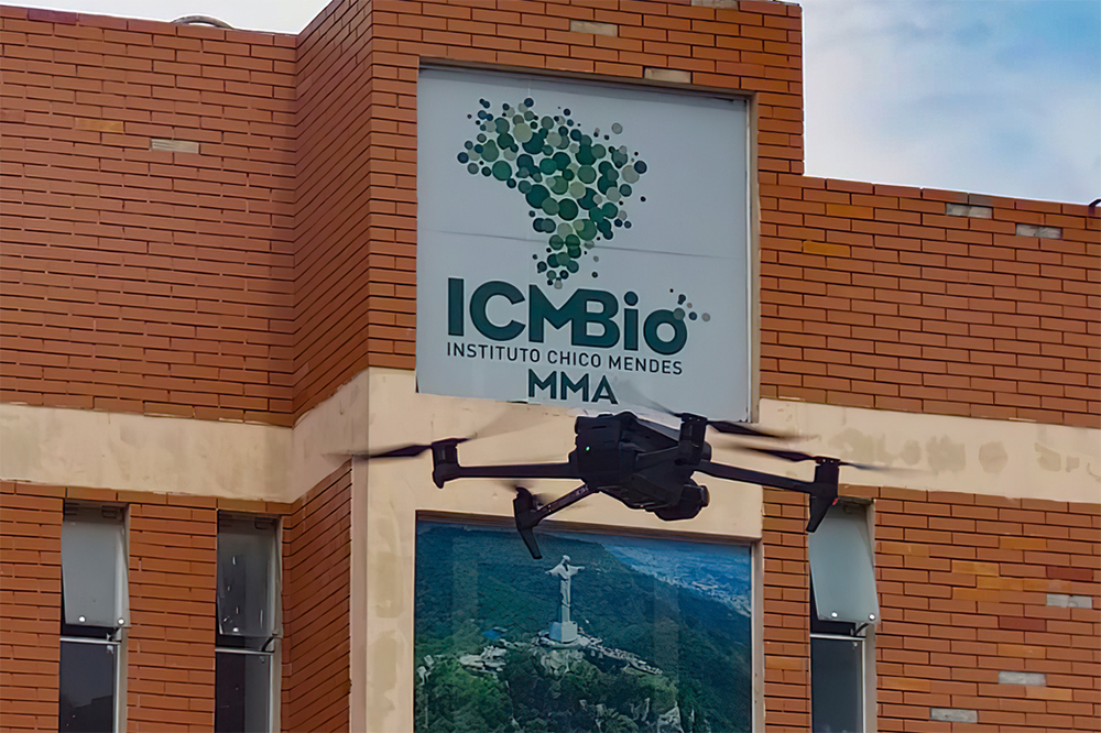 Consórcio com ICMBio produzirá 5 mil genomas para preservar espécies da ...