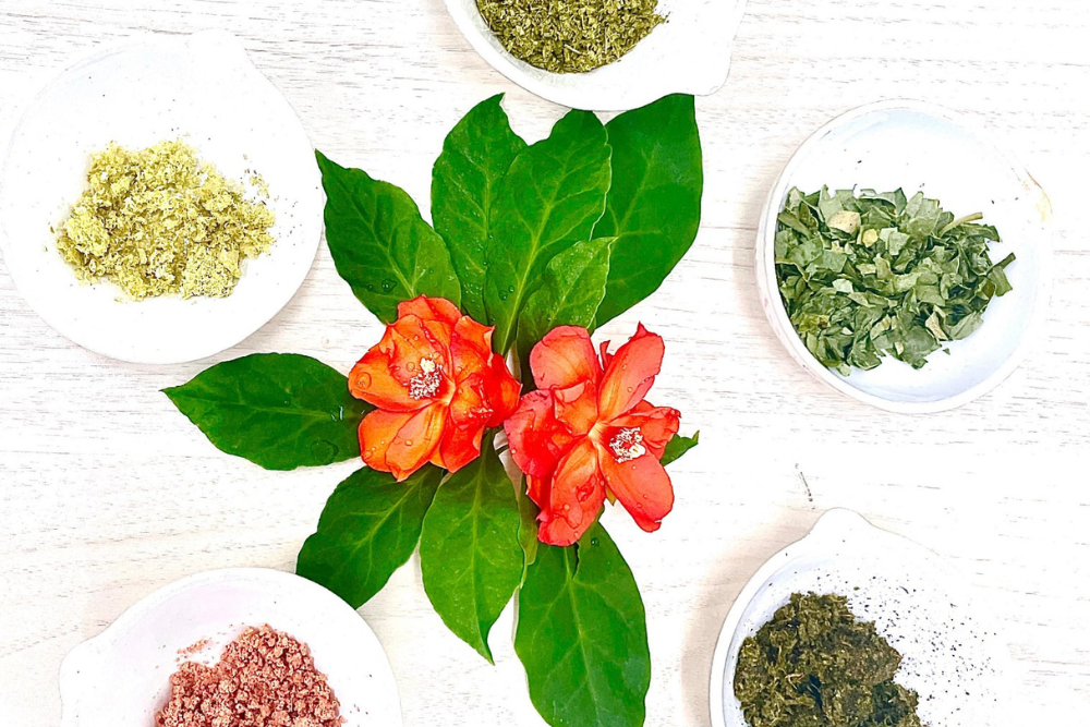 Pesquisa estuda alternativa de alimentação nutritiva e saudável a ...