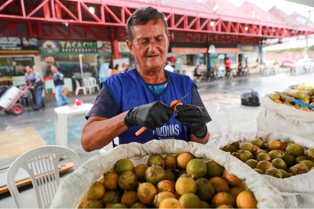 Em boa safra, tucumã está presente nas feiras de produtos regionais do ...