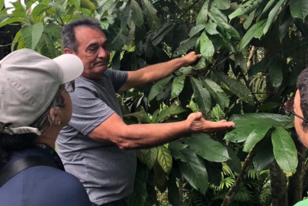 Idam alerta para a prevenção e combate à monilíase