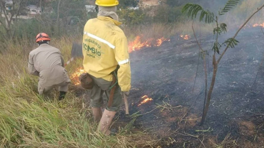 Pantanal Ms E Mt Registram Aumento De 1000 Nos Focos De Incêndios