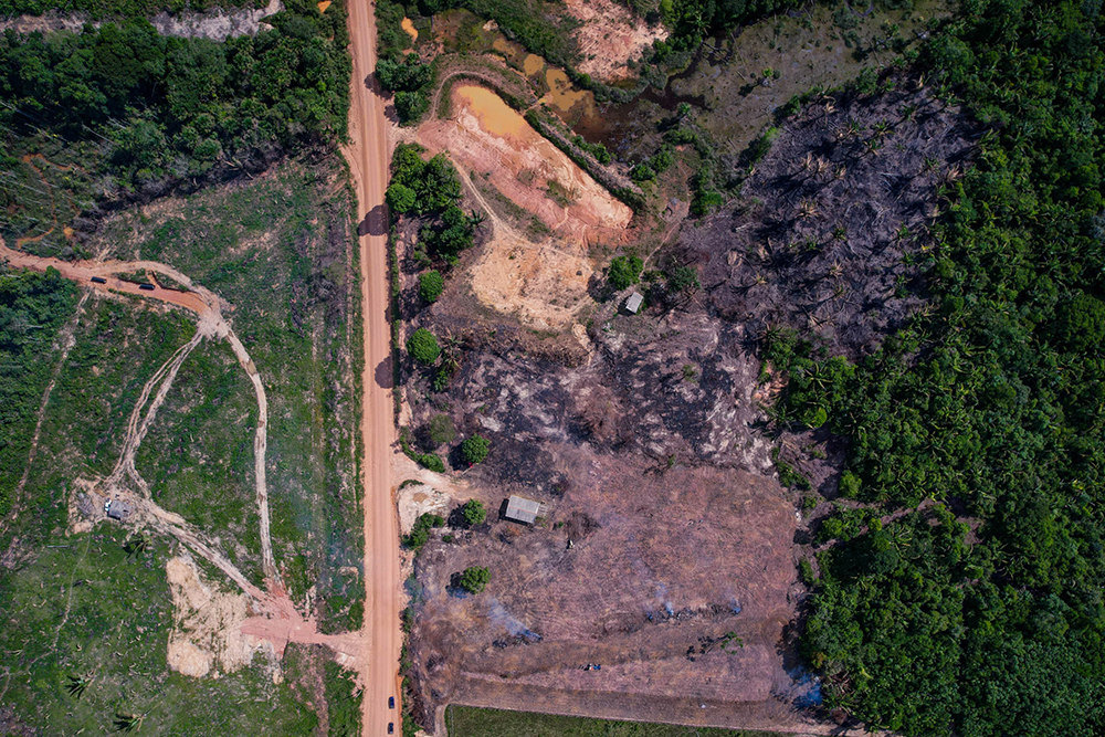 Observatório BR-319 lança novo mapa interativo com mais dados sobre ...