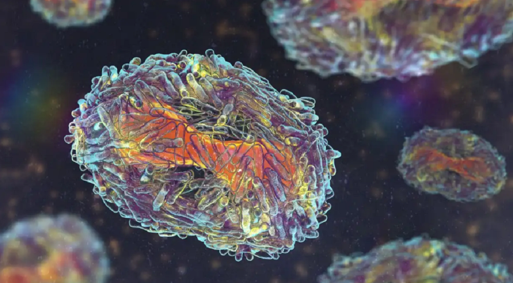 Segundo caso de mpox do grupo lp é confirmado em São Paulo - Portal do ...