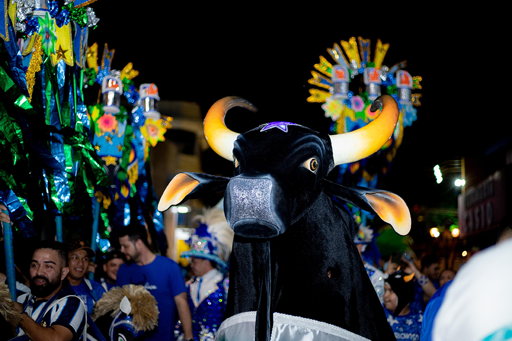 Boi Caprichoso participa do arraial de Nossa Senhora do Carmo - Portal ...