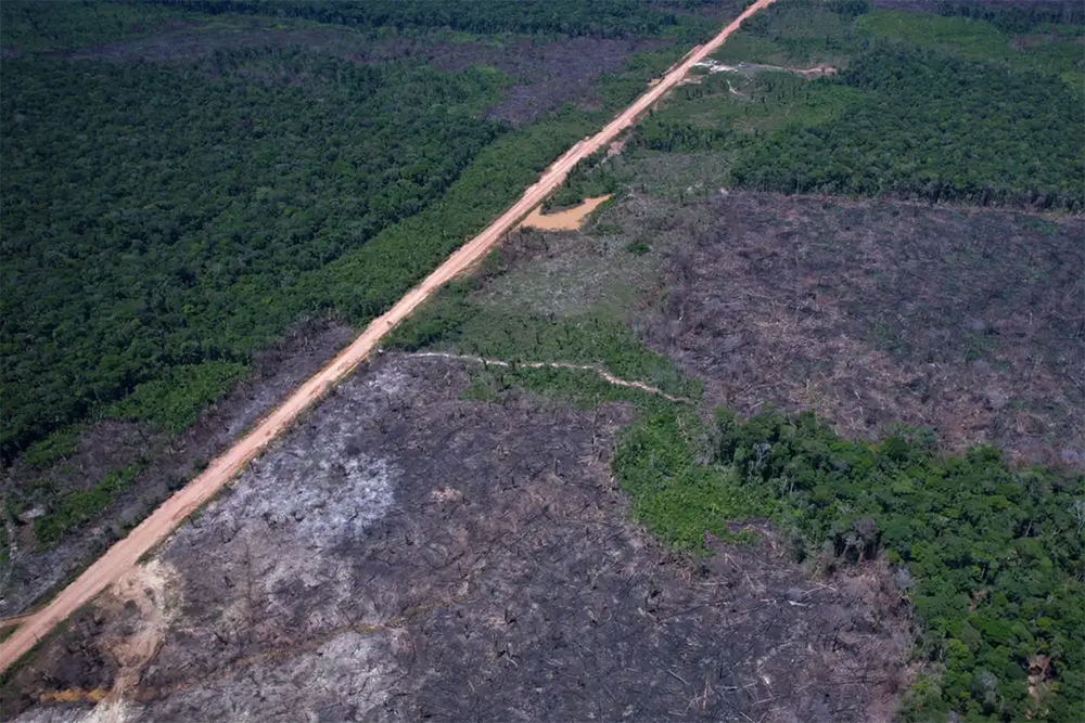 Estradas ilegais perto da BR-319 avançam em áreas protegidas na Amazônia